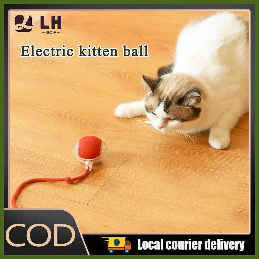 Decompress#FCat+e>toy#i]Electric.n]fun.E]Cat.T]ball.Y]interactive.F]toy ...