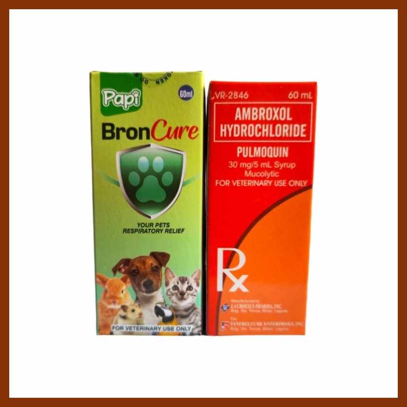 Papi]k(Broncure`Ea#Pulmoquin>oE)For}nQ)Respiratory}la)Diseases}hN)in}eA ...