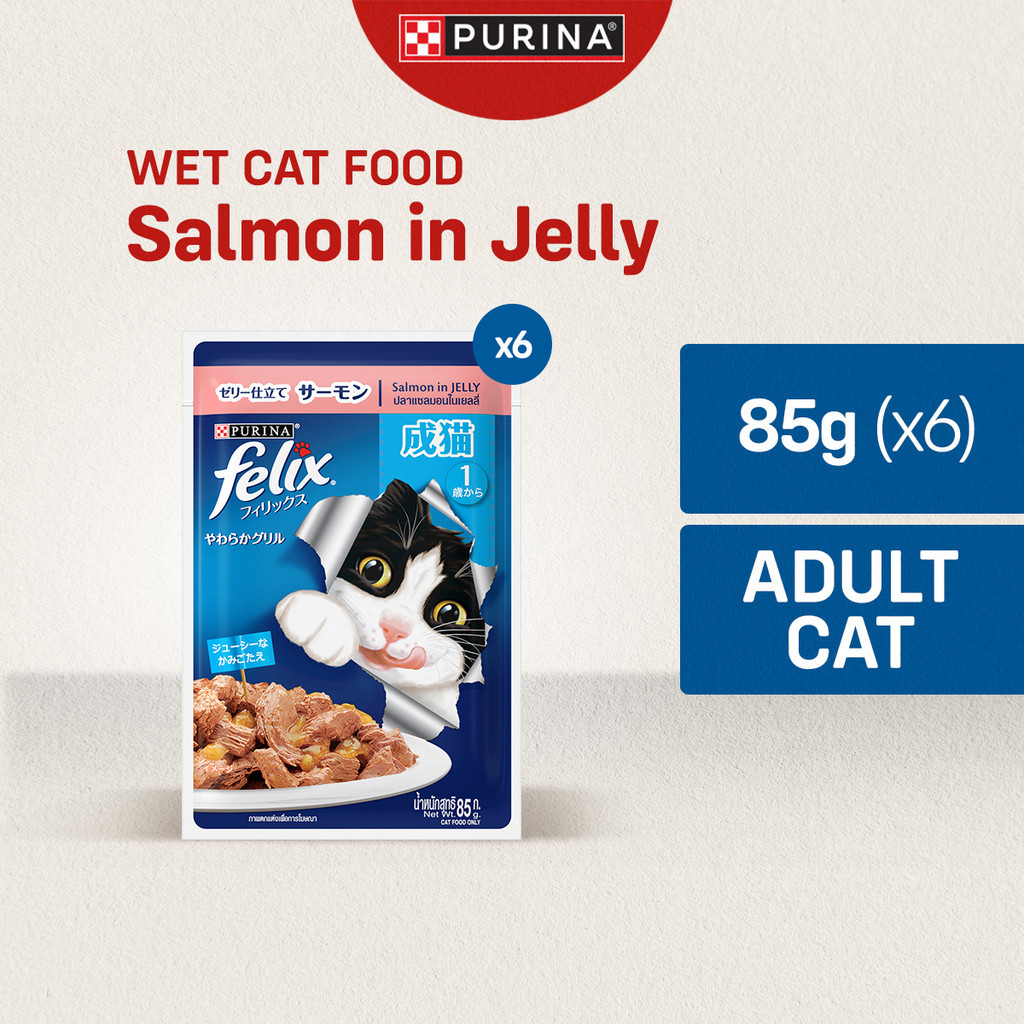 PURINA® FELIX® Adult Cat with Salmon in Jelly - 85gx6 | Shopee Philippines