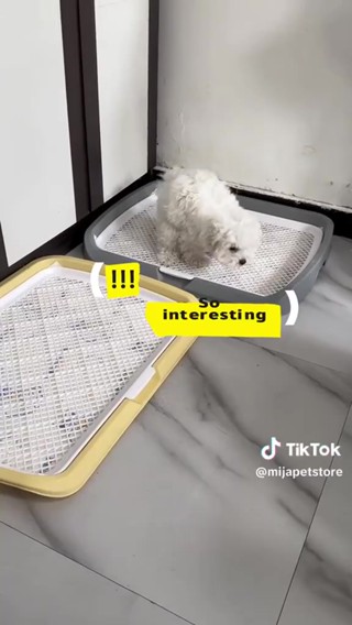 Extra Large dog pee tray Removable and Washable potty tray for dogs dog ...