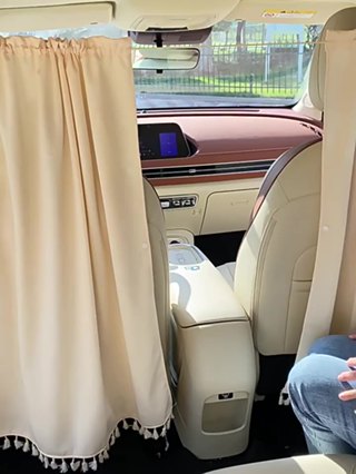 JYHOUSE Car Divider Curtains, Cotton Cloth Light Blocking Car Privacy ...