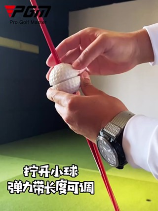 PGM Golf Swing Trainer Adjustable Intensity Indoor Power Impact Stick ...