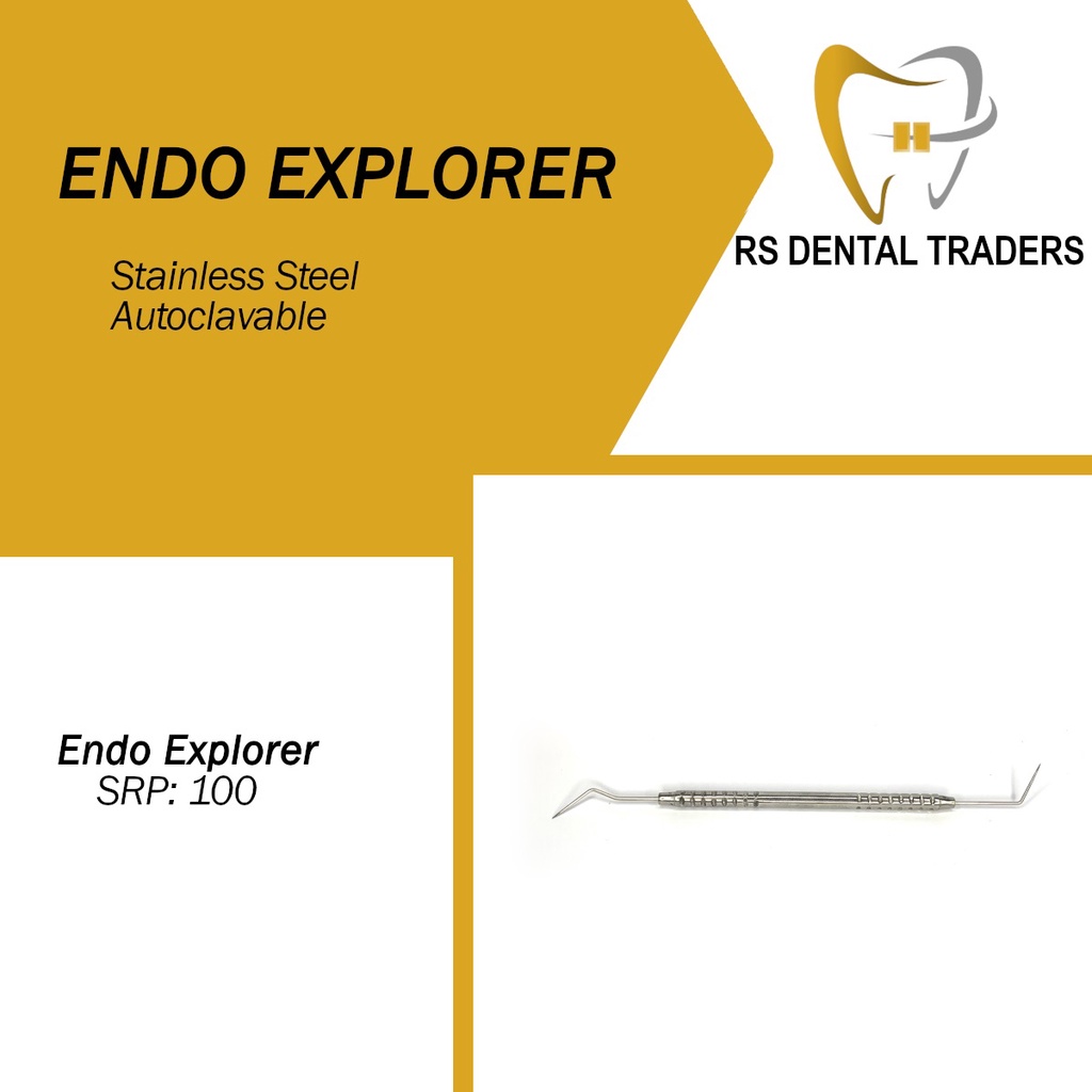 Endo Explorer - Stainless Steel - Autoclavable | Shopee Philippines