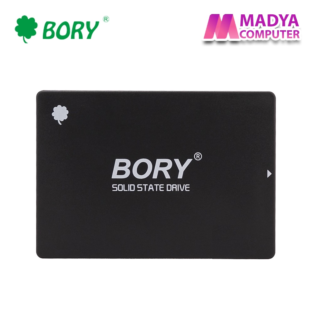 Ssd Bory R500 SATA III 128GB | Shopee Philippines