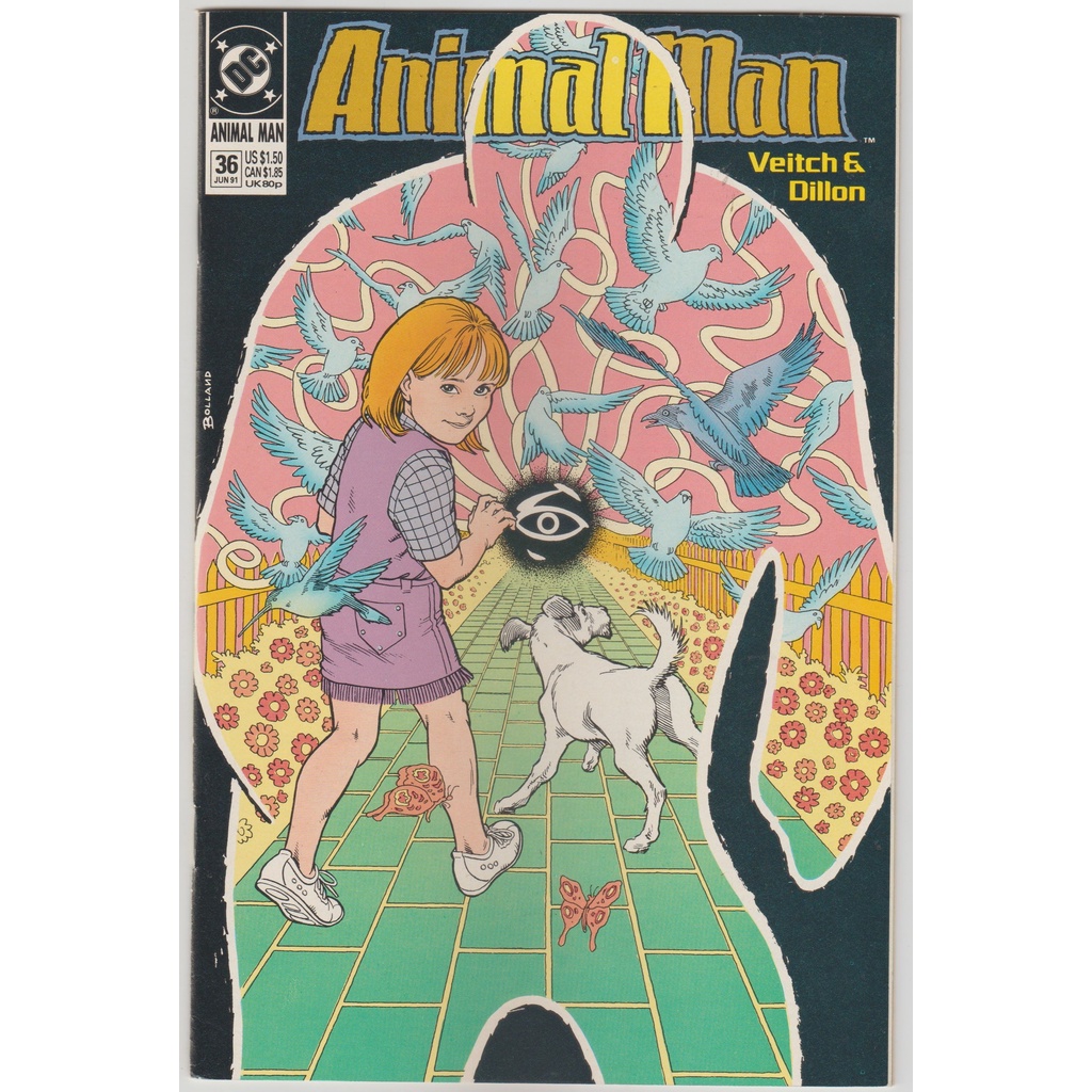 10 DC Vertigo for P750 (1988-up) Sandman, American Virgin, Animal Man ...