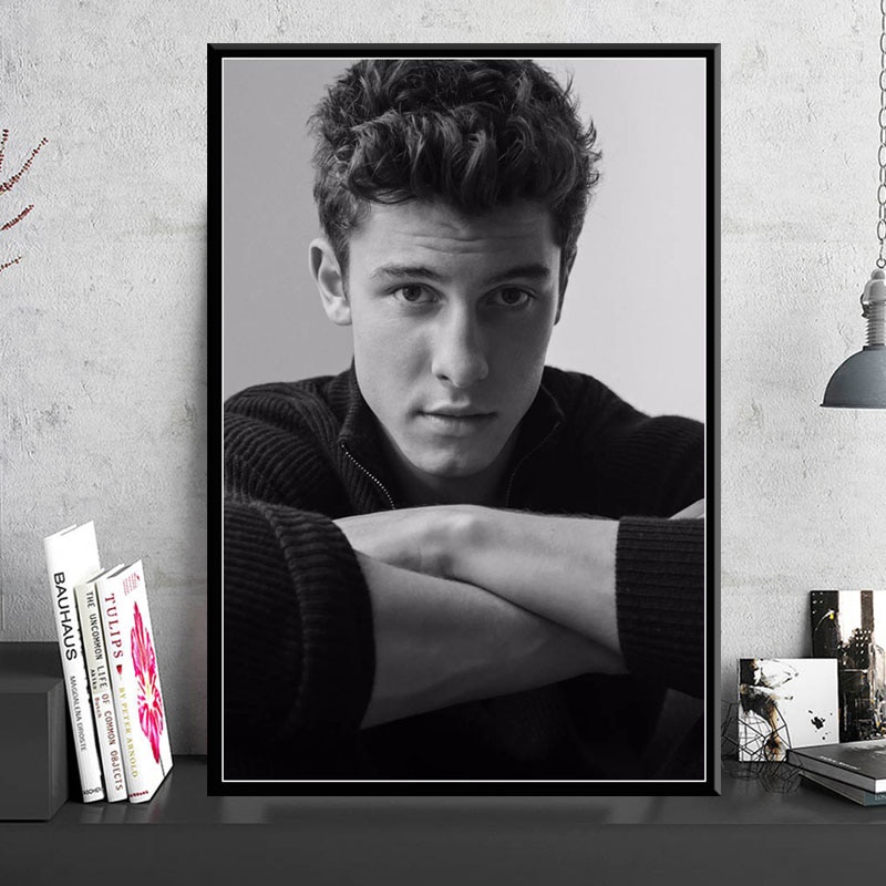 Art Painting Hot Shawn Mendes Pop Music Singer Star Fashion Icon Rock ...