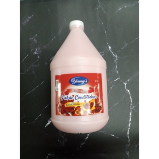 YOUNG'S LIQUID FABCON GALON | Shopee Philippines