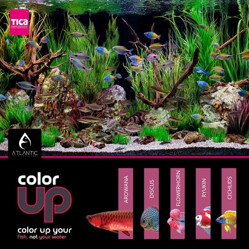 Tica Color UP 2 viewing LED Light does Not color water | Shopee Philippines