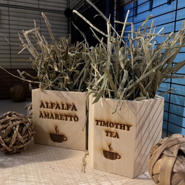 Binky Bugs Wooden Hay Holder - Timothy Tea and Alfalfa Amaretto (For ...