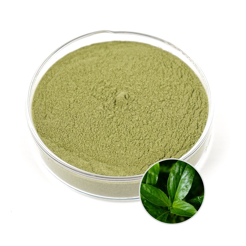 Factory direct supply of Andrographis paniculata powder | Shopee ...
