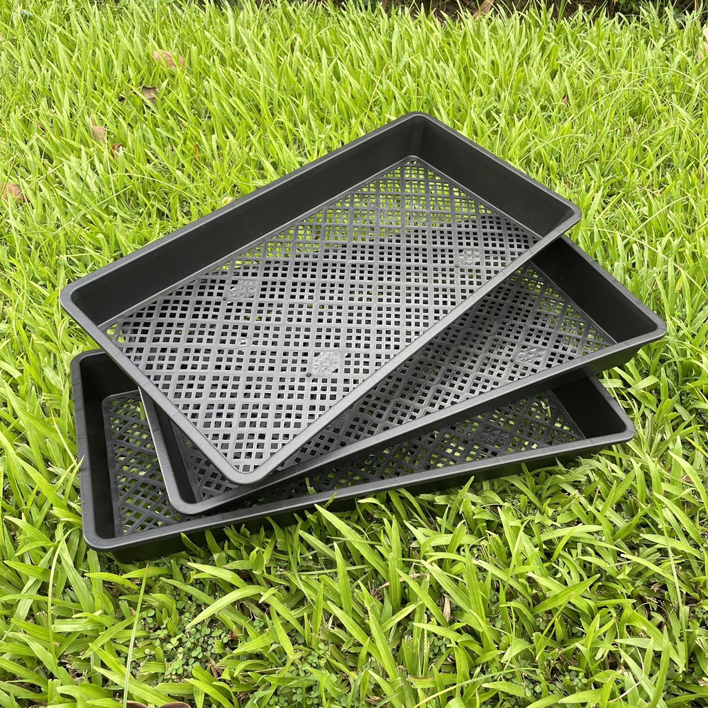 (3PCS/6PCS) Black Flat Bottom Flower tray Grass Flower Seedling Tray ...