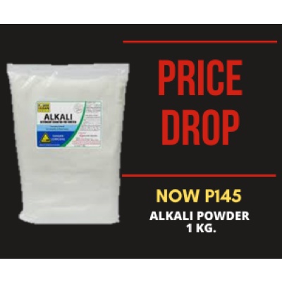 Powerclean Alkali Powder 1 kg. (Laundry Fabric Stain Remover Whitening ...