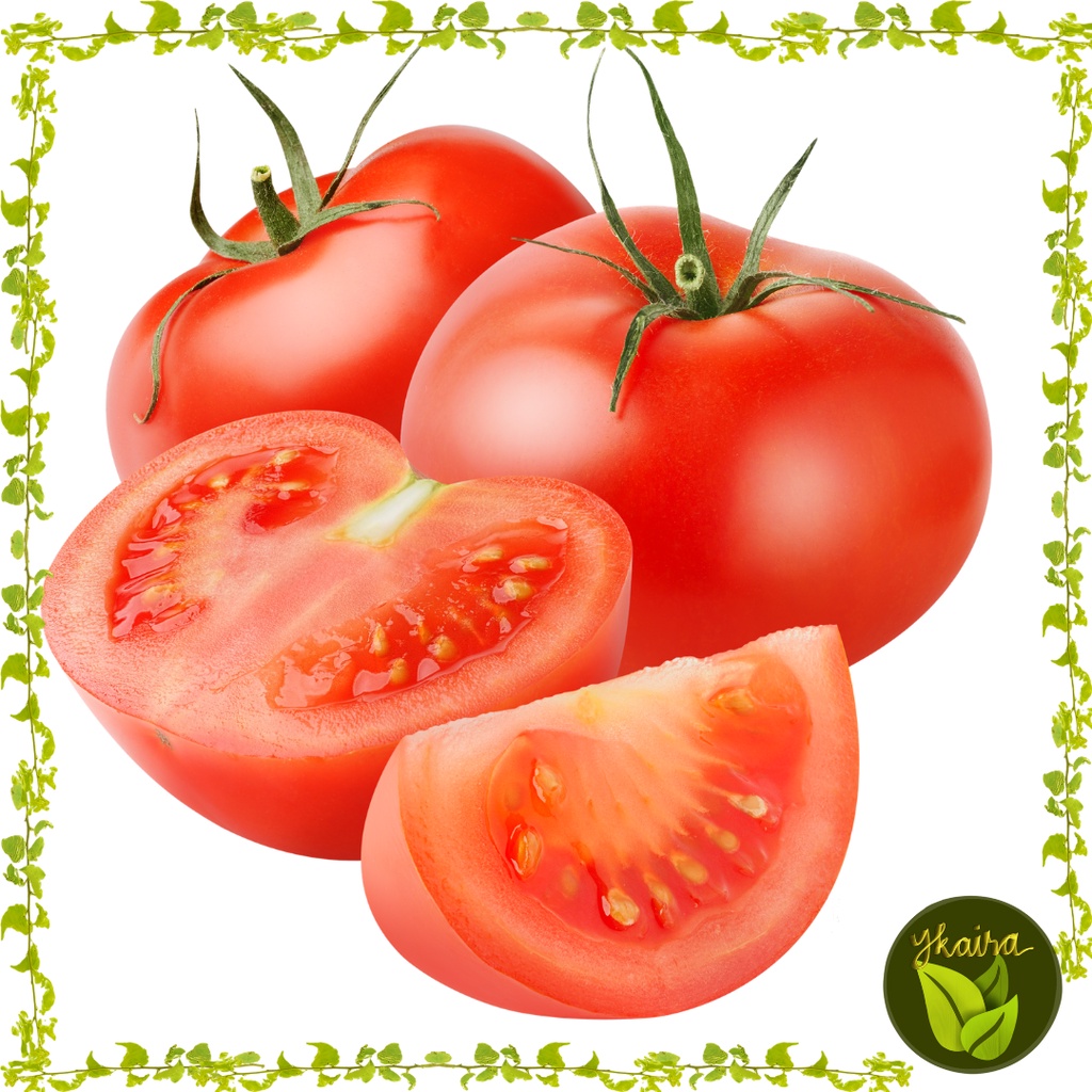 Binhi Tomato Kamatis Fruit 10 Seeds Pantanim Outdoor Garden Plant gulay ...
