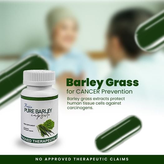 Reijin Pure Barley Capsule/Powder( 30 capsules/ 30 sachets ( 3 grams ...