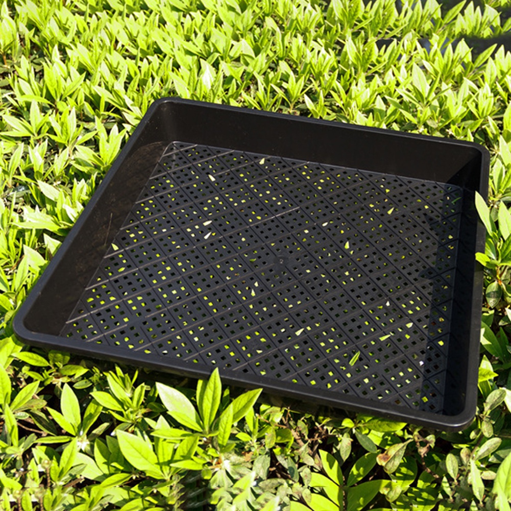 M&A PHC (3pcs) Nursery Seedling Tray/Flat Bottom Flower Planter Nursery ...