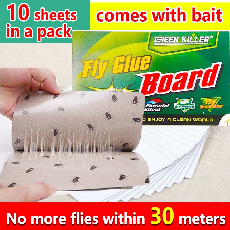 10pc Fly Catcher Glue Board Fly Trap Board Traps Fruit Flies Kitchen ...