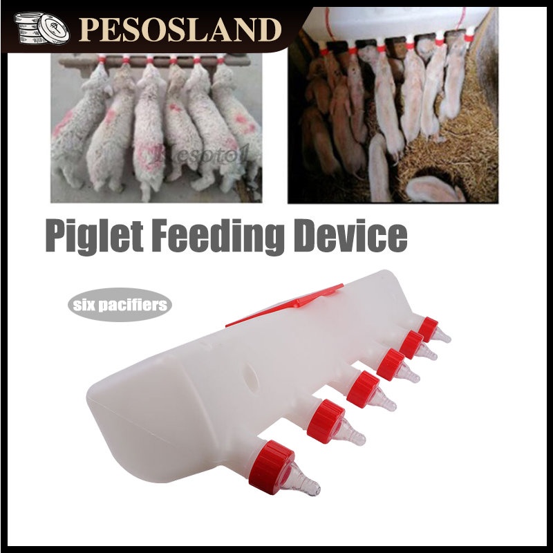 Piglet And Lamb Feeding Device Silicone Piglet Nursing Machine Piglet ...