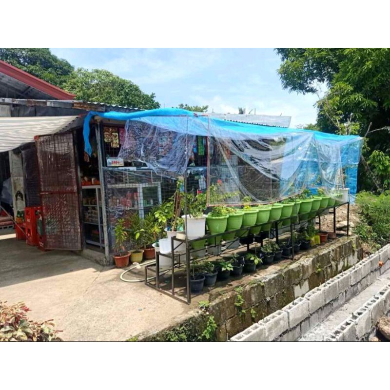 10x15ft - 13ft x 13ft - 11ft x 14ft TRANSPARENT CLEAR TRAPAL (MACHINE ...