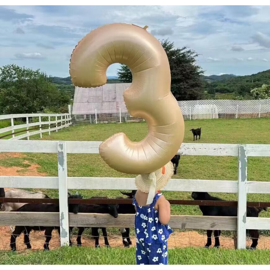 1pc INS New Type 42inch Caramel Color Number Balloon 0 1 2 3 4 5 6 7 8 ...