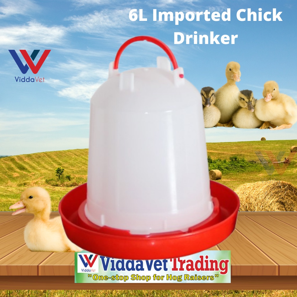 ☎ 6 Liters Imported Poultry Hanging Drinker Manual Feeder Bird/S Chicks ...