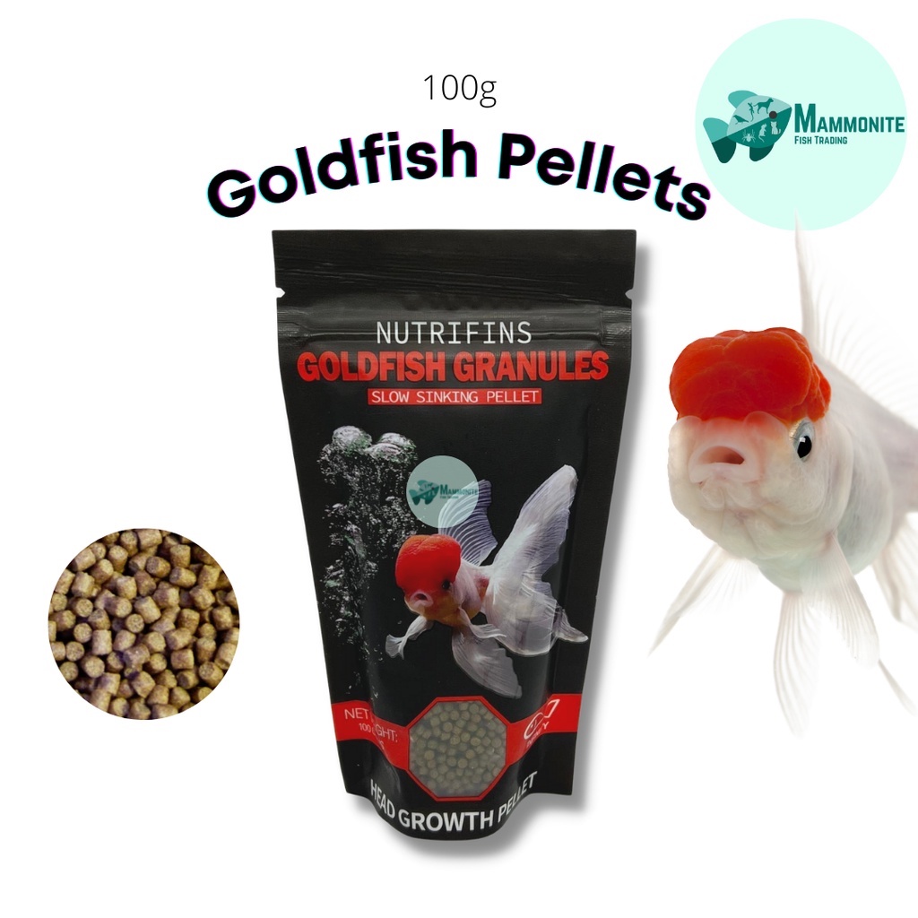 Porpoise Goldfish Food Pellets Slow Sinking Improves Digestive Function ...