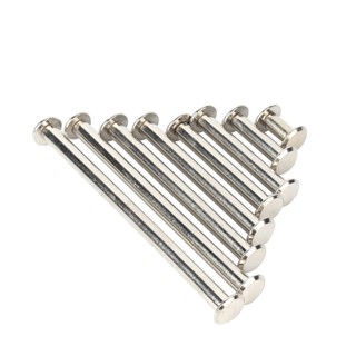 Phillips Combination Splint Screws Pair Knocking Screws Rivets Nickel ...