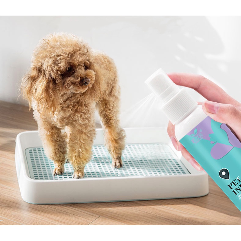 Pet Dog pee inducer guided toilet training potty spray training liquid ...