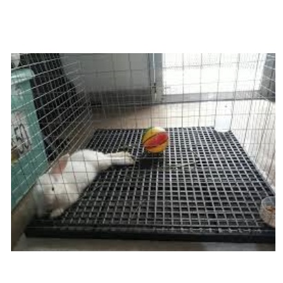 PLASTIC MATTING 2ft x 2ft (Best for Rabbit Cages and other Small Pet ...