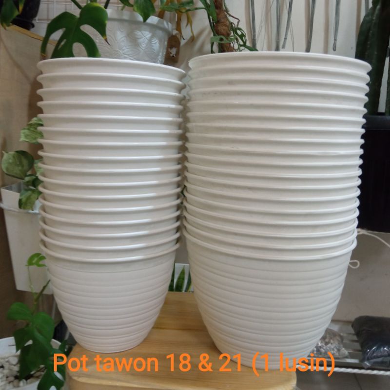 Wasp Pots 18 & 21 (1 Dozen) | Shopee Philippines