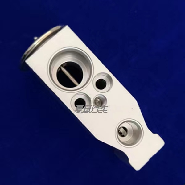 Foton traveller G9 expansion valve for rear aircon K1811011100A0 ...
