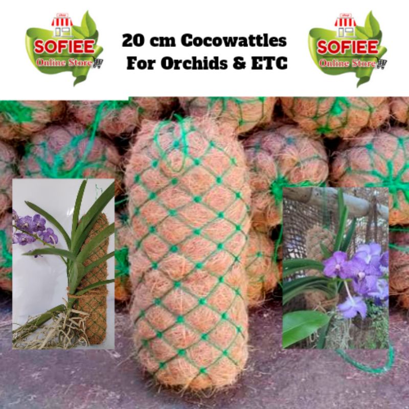 20 cm Coco Wattles for Vanda, Hanging Plants and Other Vine Plants ...