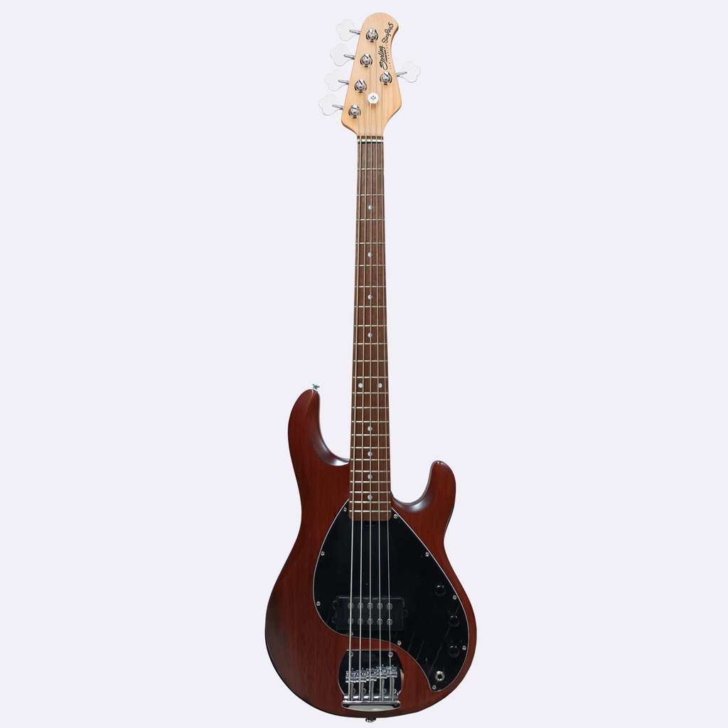 RAY5-WS-R1 Bass Guitar Sterling by Musicman Walnut Satin (Maple, Walnut ...