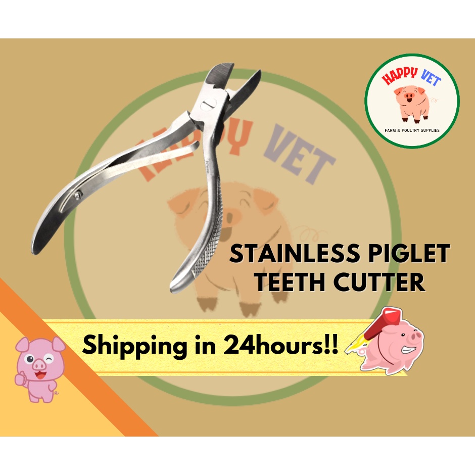 Stainless Teeth Cutter for Piglets /Pamputol o pambawas ng ngipin ng ...