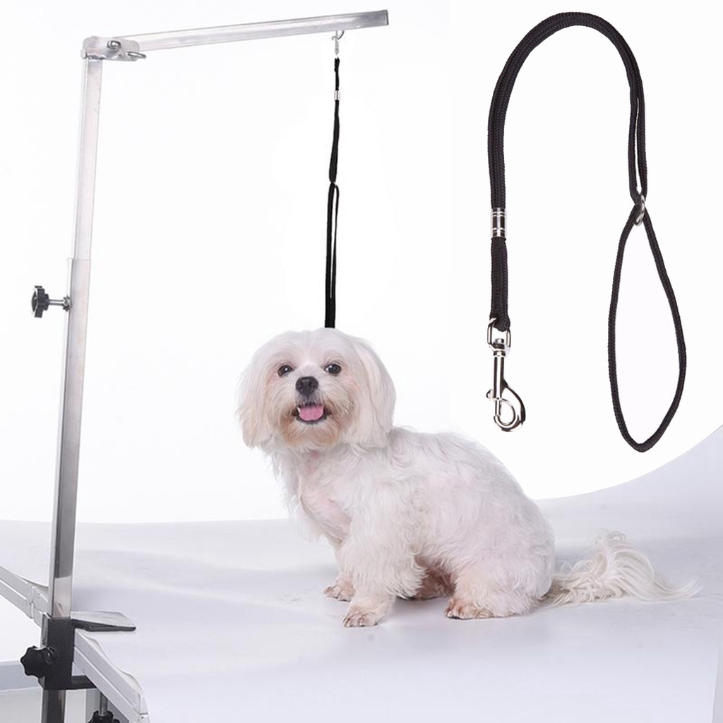 Durable Dog Leash Nylon Pet Noose Loop Lock Clip Rope Harness Dogs ...