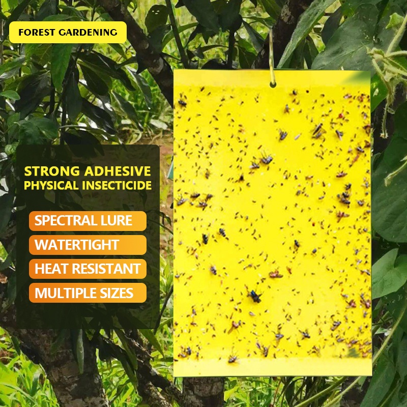 20pcs/Pack Fly Catcher Glue Board Fly Trap Board Traps Fruit Flies ...