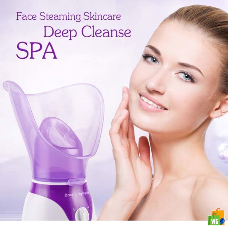 Steam Inhaler Steamer for Inhalation Hot Mist Facial Sauna Portable ...