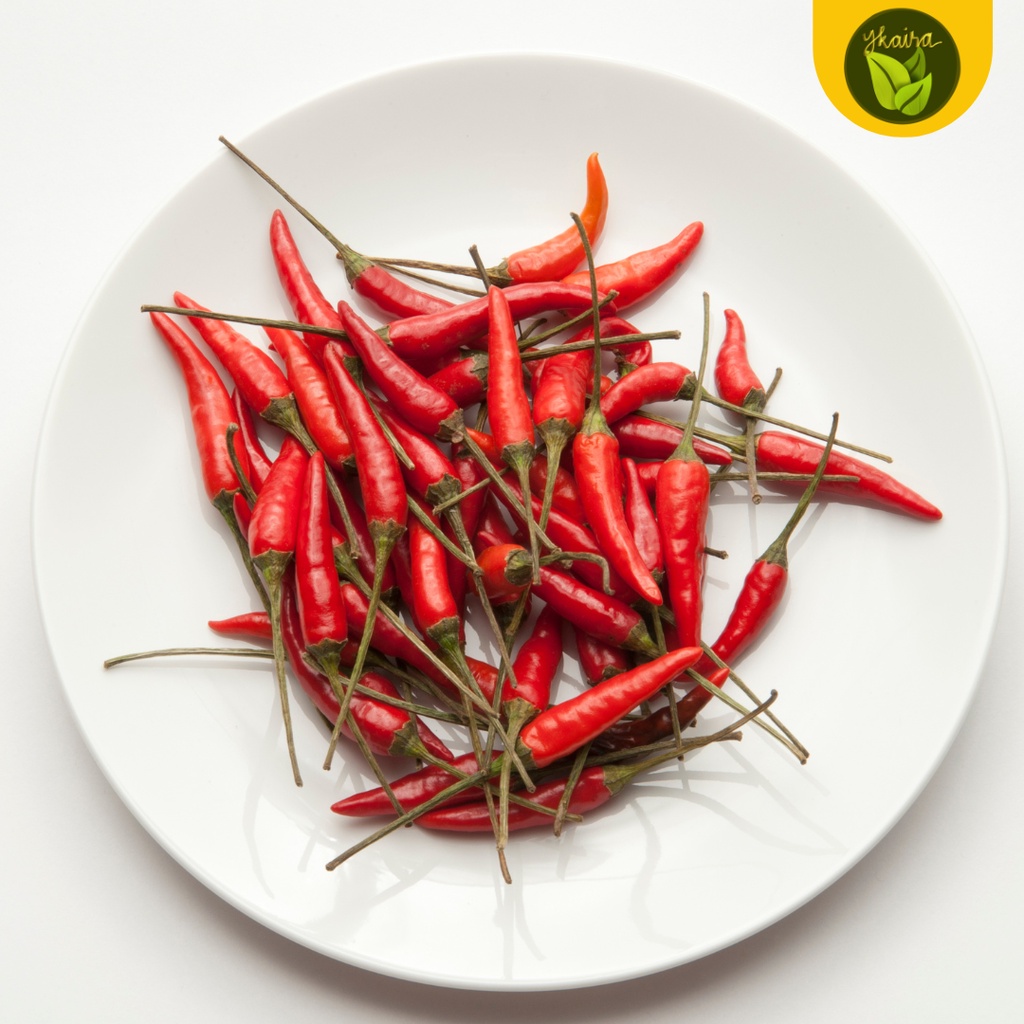 100 seeds for planting binhi pantanim sili labuyo | Shopee Philippines