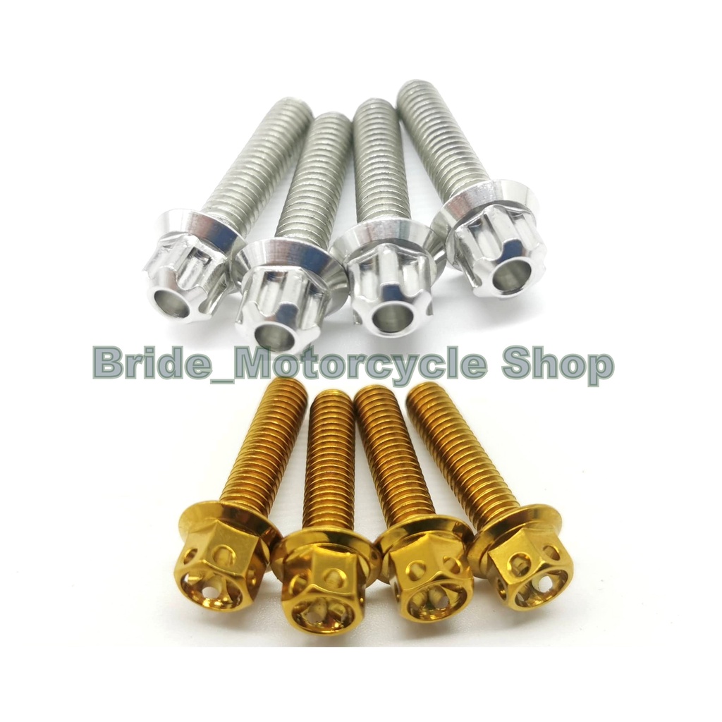 Thai Bolts For Visor Universal 4pcs Only (Gold/silver) | Shopee Philippines