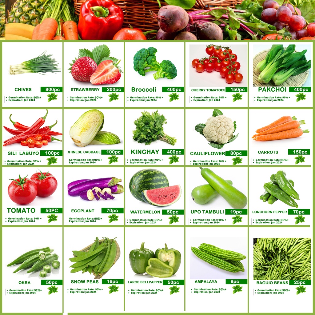 Vegetables Seeds kamatis talong pechay ampalaya sigarilyas upo lettuce ...