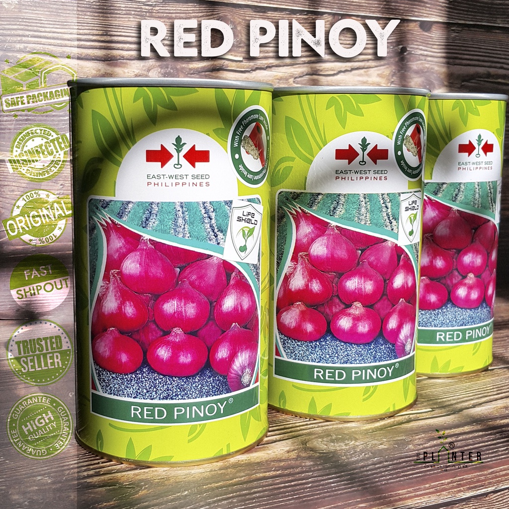 RED PINOY VARIETY ONION SEEDS (400g) - EAST-WEST SEED ( SIBUYAS ...