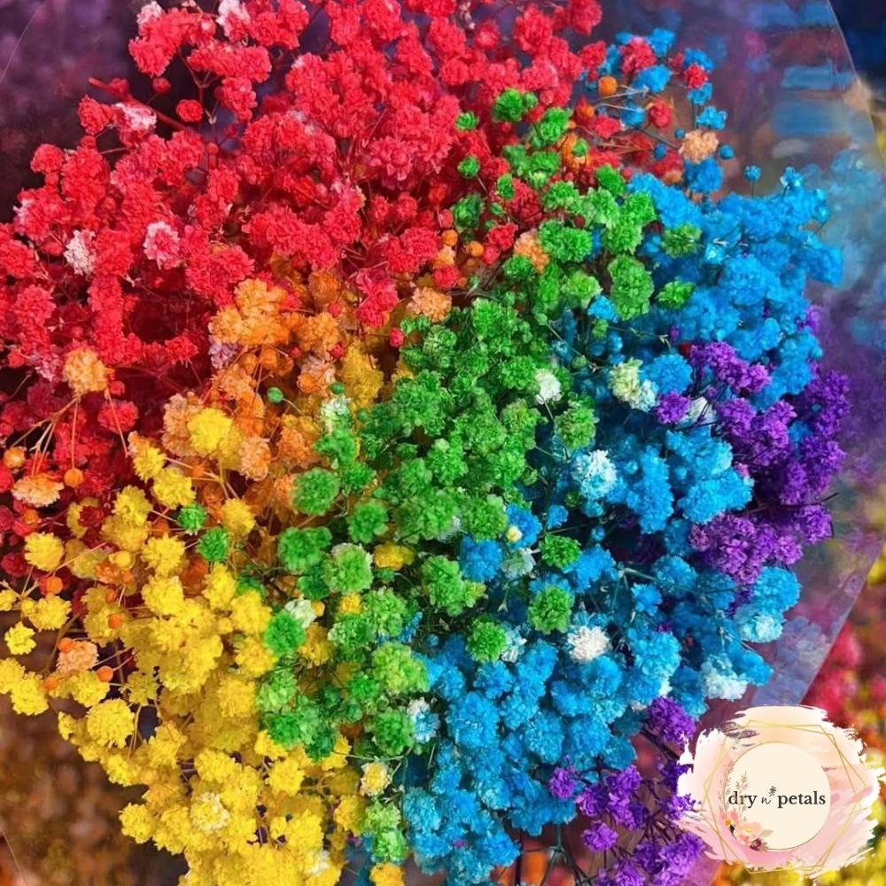 Gypsophila Dried Flowers (per bunch) Natural Dried Flower Cake Topper ...
