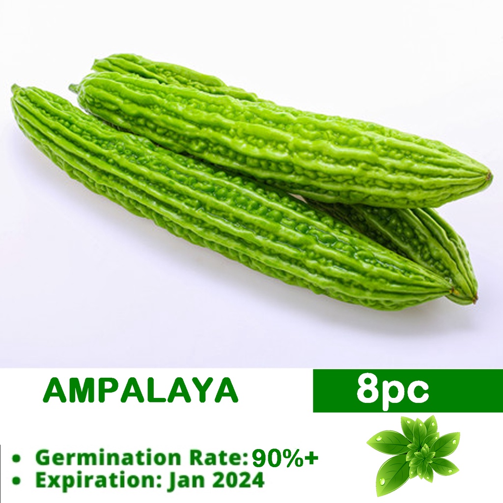 Vegetables Seeds kamatis talong pechay ampalaya sigarilyas upo lettuce ...