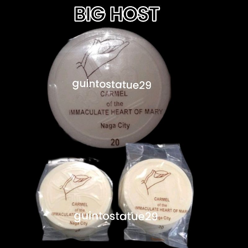 BIG HOST/OSTYA (20PCS),MEDUIM 500 PCS | Shopee Philippines