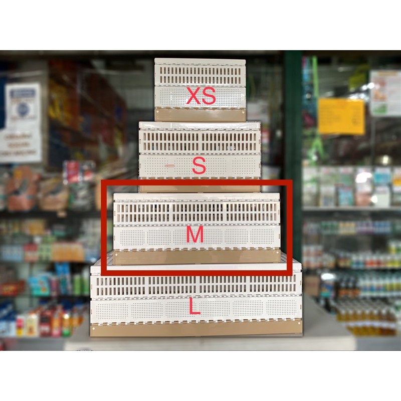 Training Box For Racing Pigeon (Taiwan-Plastic) Size - Medium | Shopee ...