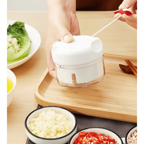 Rich Mini Food Chopper Hand Pull Garlic Grinder Onion Ginger Masher ...
