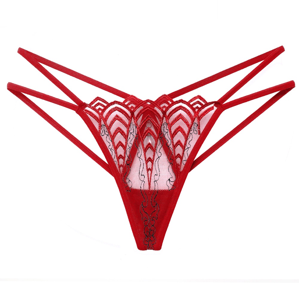 40kg 60kg 】nice Embroidered Womens Panties Zt008 2245 Tulle