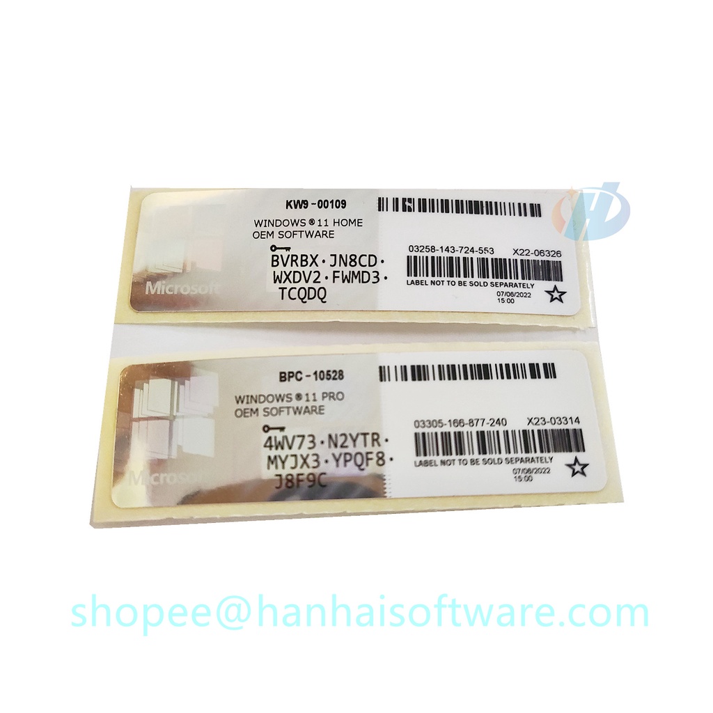 Windows 11 / 10 Professional Win 10 Home/Pro Operating System Activated ...