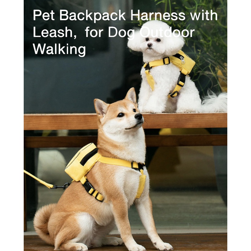 Pet Cute Backpack Harness with Leash, Cute Animal Back Pack with Leash ...