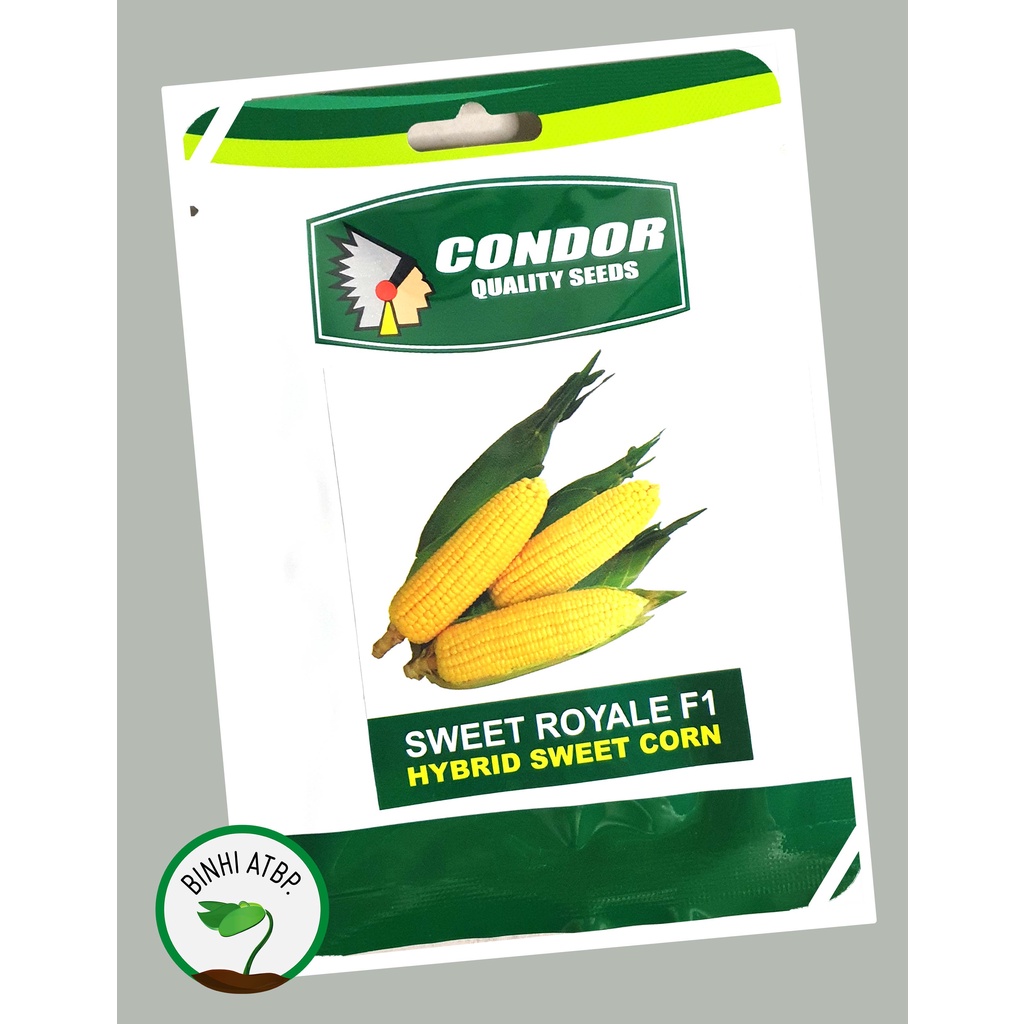 Condor Sweet Royale F1 Hybrid Sweet Corn Seeds (10 Gr Pack) | Shopee ...