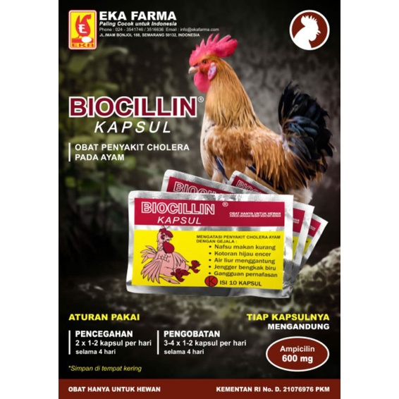 Biocillin EKA FARMA CAPSULES MEDICINE FOR CHOLERA DISEASE ON CHICKEN ...